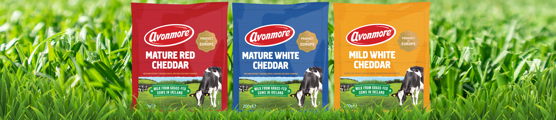 Products Archive - Avonmore Professional